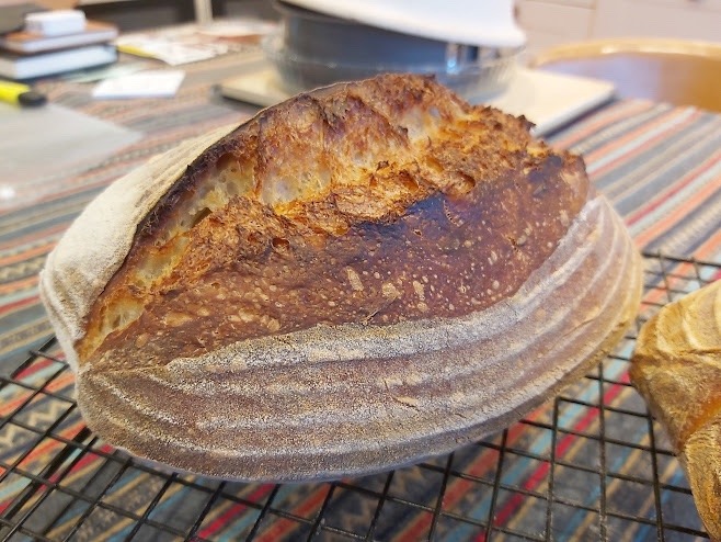 Classic Southern Sourdough - Baking Great Bread at Home Blog