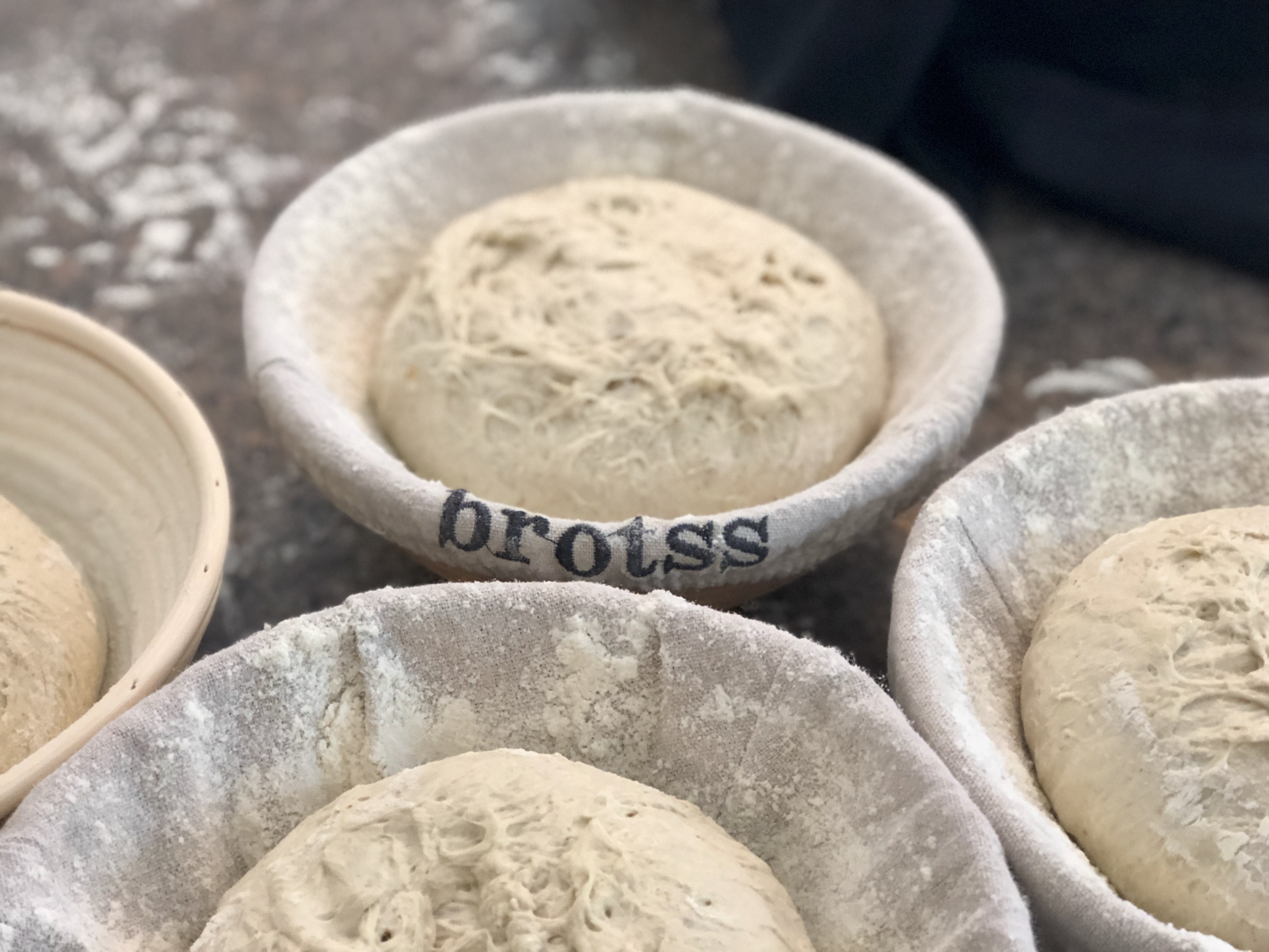 Proofing and Fermentation - Baking Great Bread at Home Blog