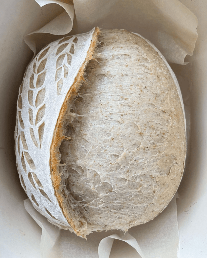 Mastering Sourdough: Insights from My Baking Journey - Baking Great Bread at Home Blog