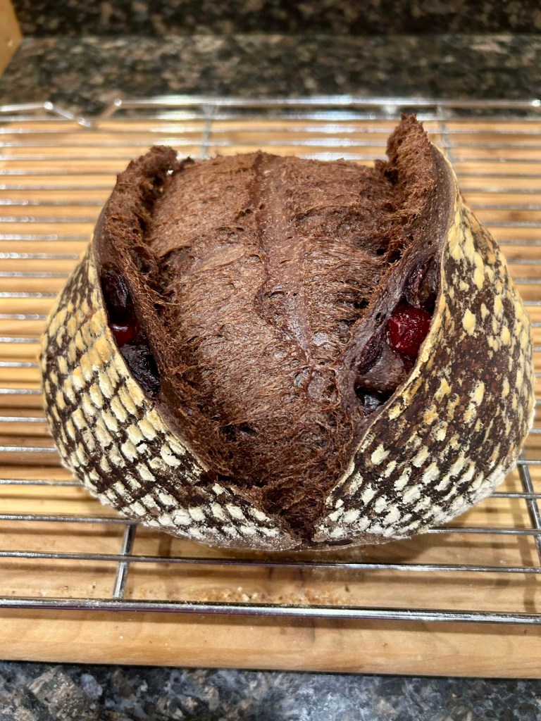 A Chocolate Symphony: Priscilla Jolley's Masterful Chocolate Sourdough ...